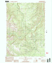 1990 Map of Lick Creek, Wallowa County, OR — High-Res | Pastmaps